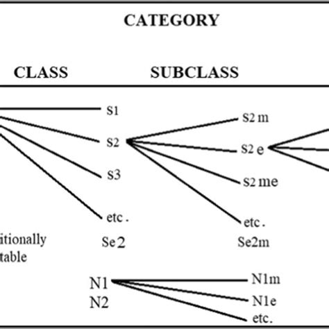 Structure Of The Suitability Classification Fao 1976 Download