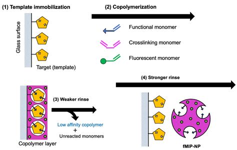 Synthesis Of Fluorescent Molecularly Imprinted Polymer Nanoparticles