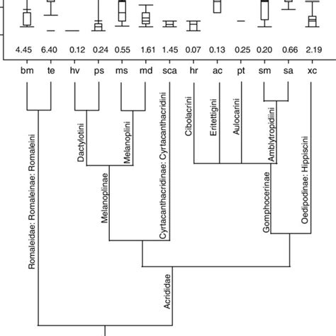 Box Plot Of P C For 13 Species Of Grasshopper Numbers At The Bottom Of