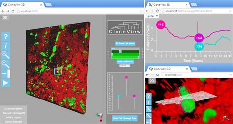 cloneview 3 d is a webgl html5 application that enables distributed