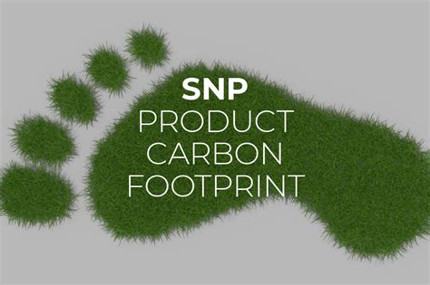 Snps Exa Launches New Product Carbon Footprint Solution For Sap Ecosystem To Drive Esg Insidesap