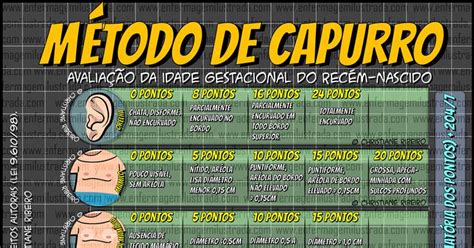 Método De Capurro Idade Gestacional Idade Gestacional Fundamentos