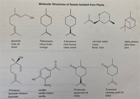 1 Which Are The Most Polar Molecules Least Polar