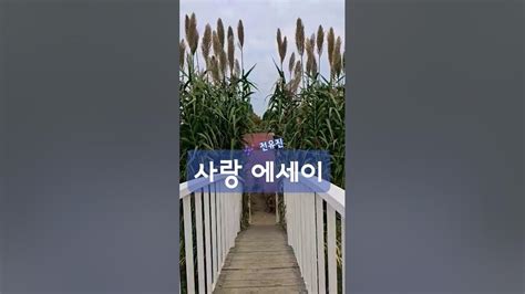 사랑 에세이 전유진전유진신곡24116현역가왕트로트 Youtube