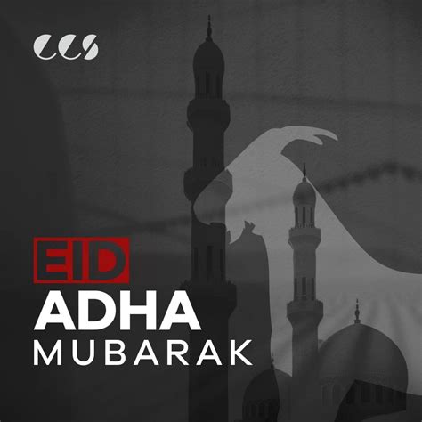 Sameh Abu El Hana On Linkedin Ccs Eidadhamubarak
