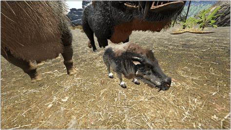Ark Daeodon Abilities Taming Food Saddle Breeding Drops Location ProGameTalk
