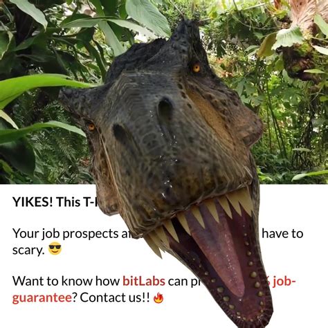 bitlabs home facebook