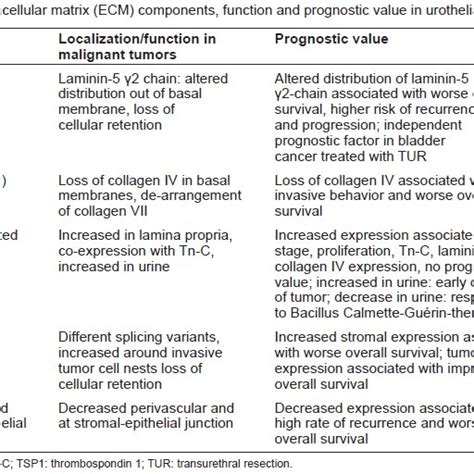 Distribution Of Structural Extracellular Matrix Ecm Components