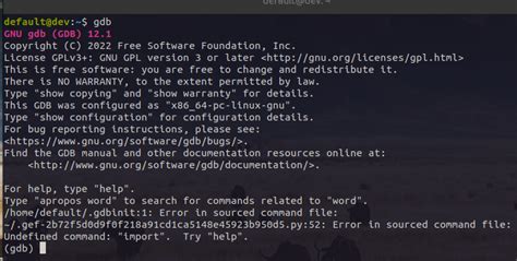 Gdbserver Gdb Gef Not Working After Fresh Compilation Of Gdb 121 And