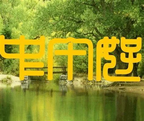 2021新版中午好问候的句子祝福动图 中午好下午好的问候语动态图片表情包大全 搜狐大视野 搜狐新闻