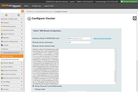 Handle Dns Properly With Cpanel Lowendbox