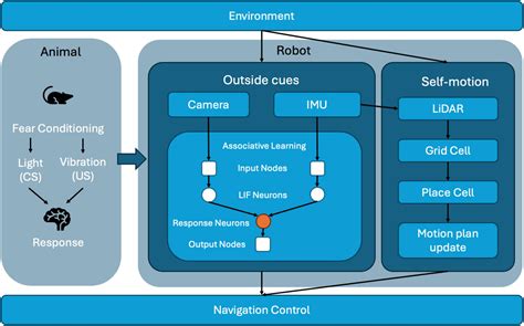 Frontiers Replicating Associative Learning Of Rodents With A Neuromorphic Robot In An Open