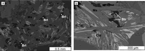 Beryllium Phases In Pinite Pseudomorph After Cordierite A Tiny Download Scientific Diagram