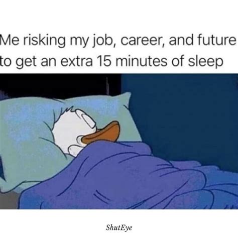 30 Best Funny Sleep Quotes And Memes When You Cant Sleep