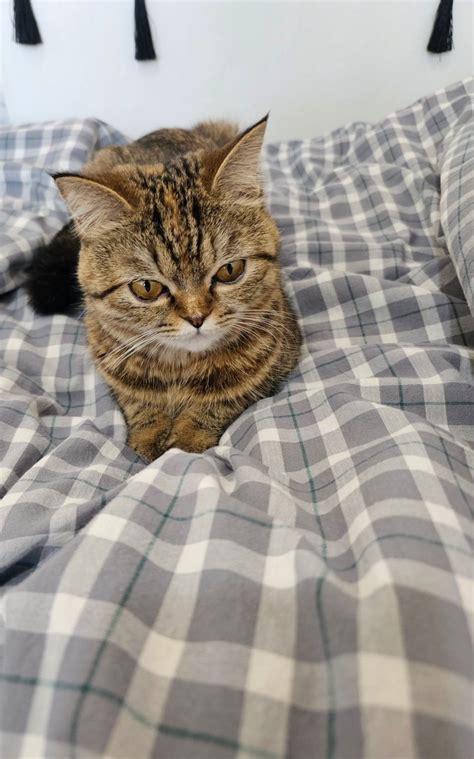 捡破烂的猫奴 On Twitter 世界上只有同类才可以做朋友 志不同道不合的人往往只能在某个猎奇的时间里做一阵子开心的同伴 被时间的洪水