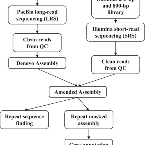 Outline Of The Workflow Used To Generate And Analyze The Genome Data Download Scientific