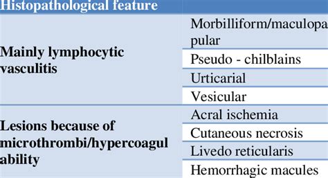 Histopathological Classification Download Scientific Diagram