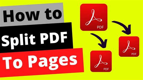 How To Split PDF Pages In Half YouTube
