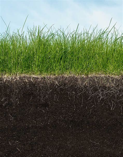 Commercial Smoke Testing Lifetime Environmental Solutions