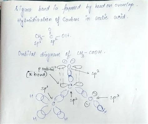 Ch3cooh Hybridization