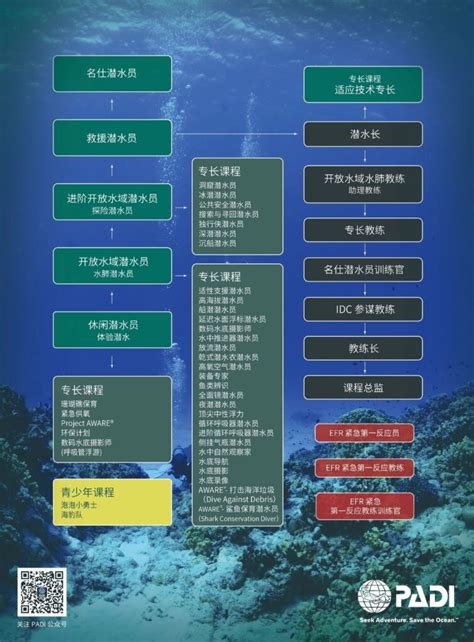 50潜，成为休闲潜水员中的 黑带”，世界仅有2的精英