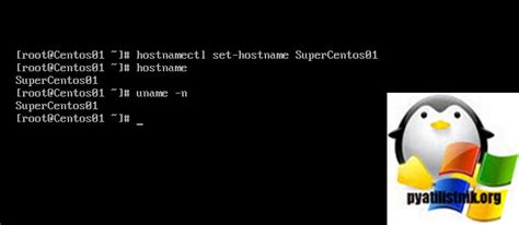 Настройка сети в Centos 8 за минуту Настройка серверов Windows и Linux
