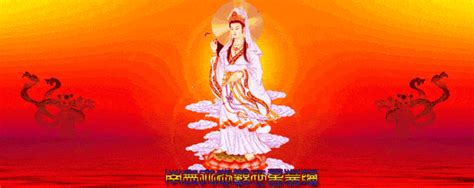 今天是12月8日，128一帆風順 二龍騰飛 八方來發，順順順發發發 每日頭條