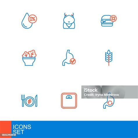 세트 라인 인간의 위장 건강 욕실 저울 비건 음식 다이어트 밀 그릇에 샐러드 햄버거 없음 및 비만 아이콘 벡터 건강 진단에 대한 스톡 벡터 아트 및 기타 이미지 Istock