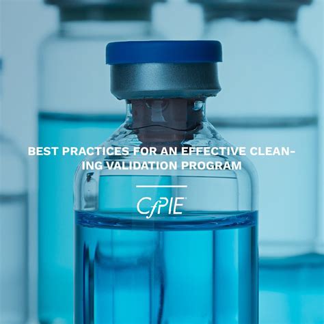 Cleaning Validation Guidelines The Basics You Need To Know