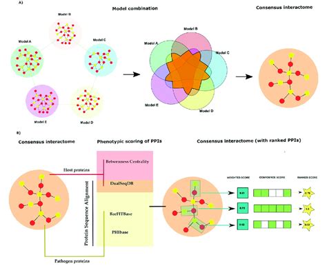 Model Combination And Calculation Of Ranked Scores A Model