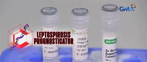 Up Manila Experts Develop Detection Tool For Leptospirosis Complications