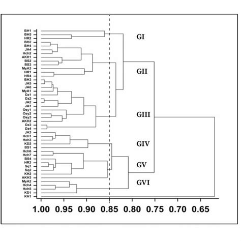 Hierarchical Clustering Dendrogram Showing The Relationships Among The