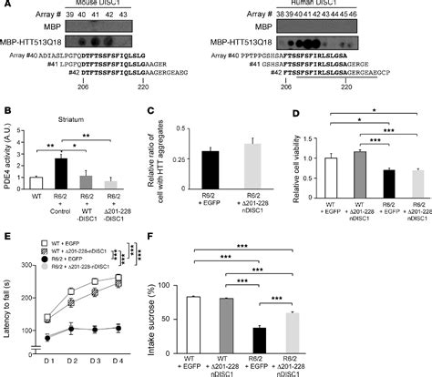 Figure 5 From Aggregation Of Scaffolding Protein Disc1 Dysregulates Phosphodiesterase 4 In