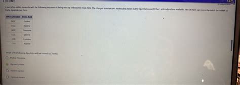 A Part Of An Mrna Molecule With The Following Sequence Is Being Read By A