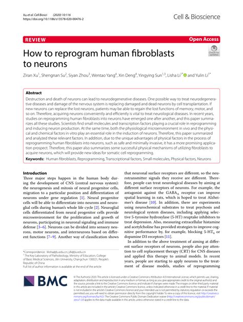 Pdf How To Reprogram Human Fibroblasts To Neurons