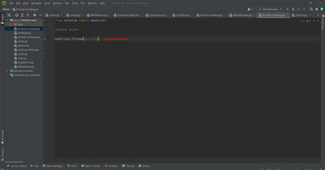 Selenium Python Invoke Chrome Browser And Load Site To Automate