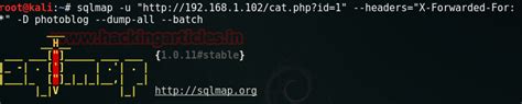 Hack The Pentester Lab From Sql Injection To Shell Ii Blind Sql Injection