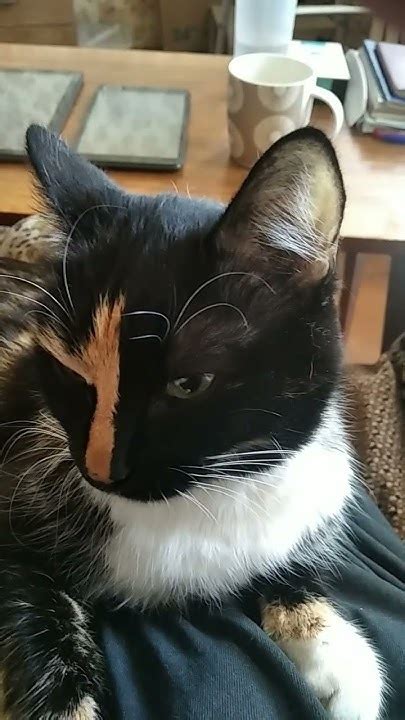 Любовь не картошка Youtube