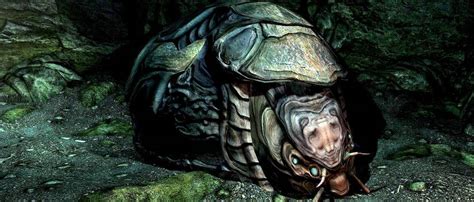 10 Rarest Skyrim Discoveries From Players In 2023