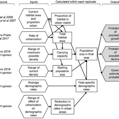 Conceptual Diagram Of The Stochastic Simulation Model Used To Assess