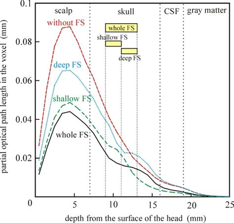 The Depth Profile Of The Spatial Sensitivity Profile In The Four Download Scientific Diagram
