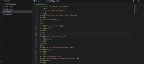 Raghav Reddy S On Linkedin Task 4 Practice Comments Variables Data Typestype Conversion Input