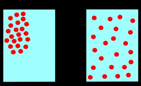 Osmosis Vs Diffusion 101 Definitions Examples And Practice Problems