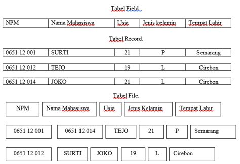 Andilau Perbedaan Database Field Record Dan File
