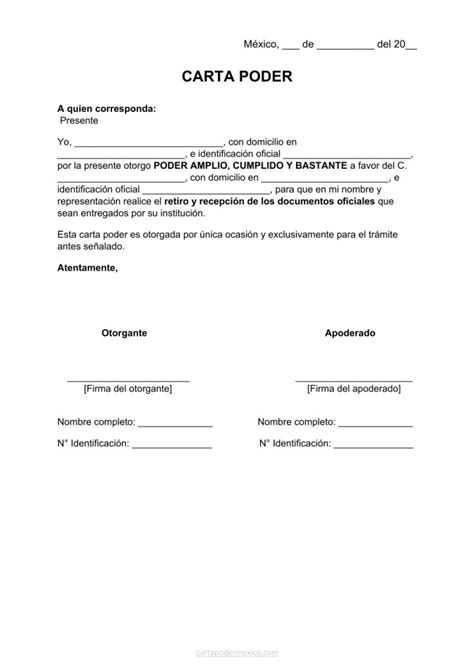 Carta Poder Simple Para Recoger Documentos Oficiales