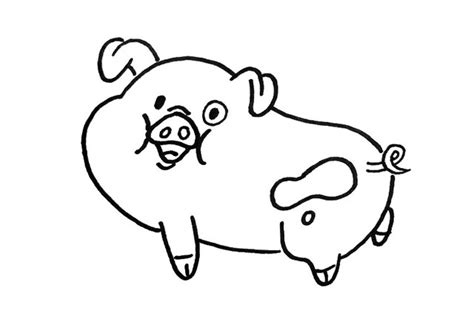 可爱的小猪简笔画 毛毛简笔画