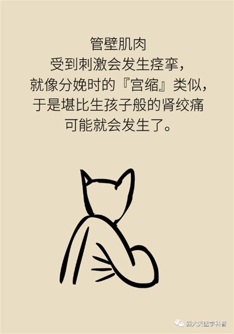 不晓得生孩子有多痛？得了肾结石分分钟就懂了 中国食品药品网