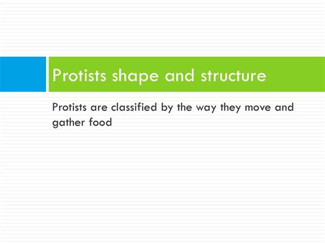 Protists Notes Ppt Download