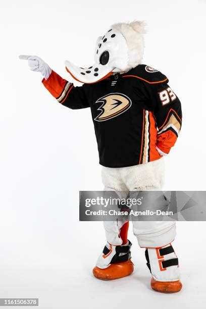 Anaheim Ducks Wild Wing Photos And Premium High Res Pictures Getty Images