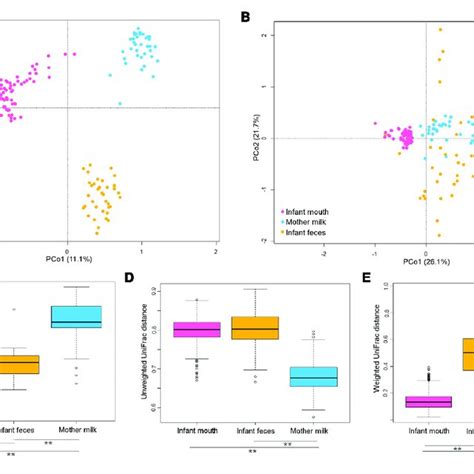Diversity In The Bacterial Ecosystem Of The Mothers Milk And